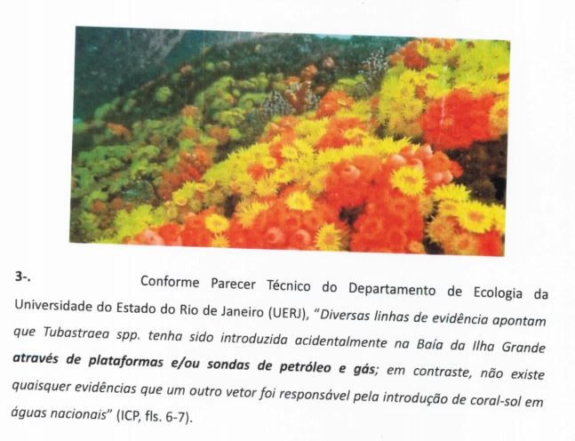 TRF2 homologa acordo de R$ 18 milhões para prevenção de invasões do ...